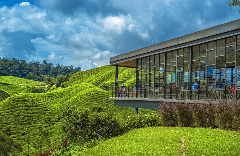 Attractions | Zenith Hotel Cameron
