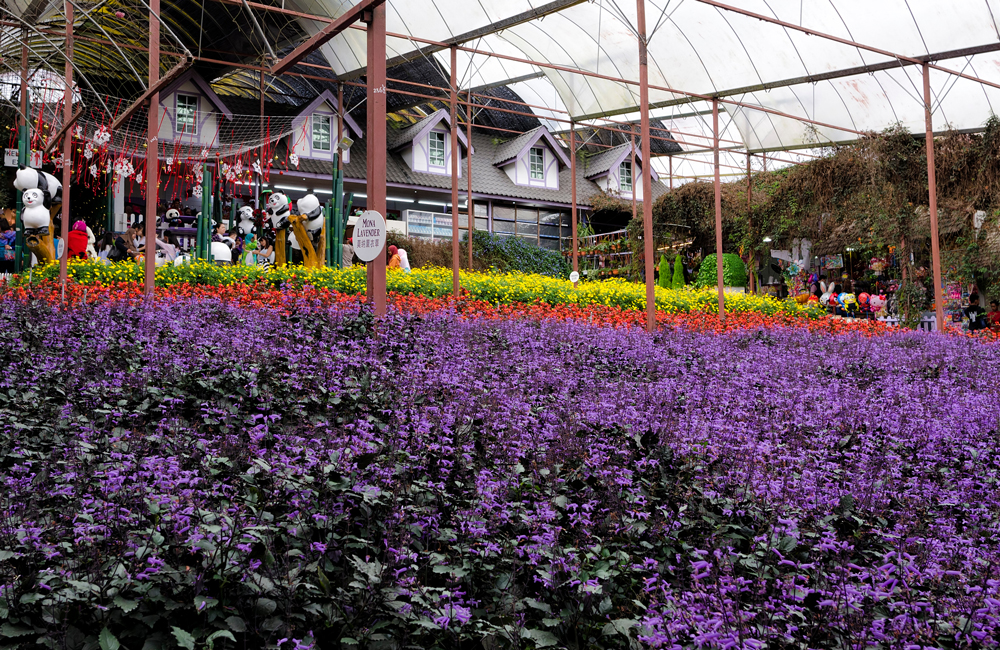 Attractions | Zenith Hotel Cameron